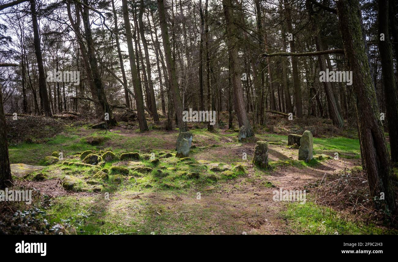 Doll Tor Stone Circle on the edge of Stanton Moor in the Peak District ...