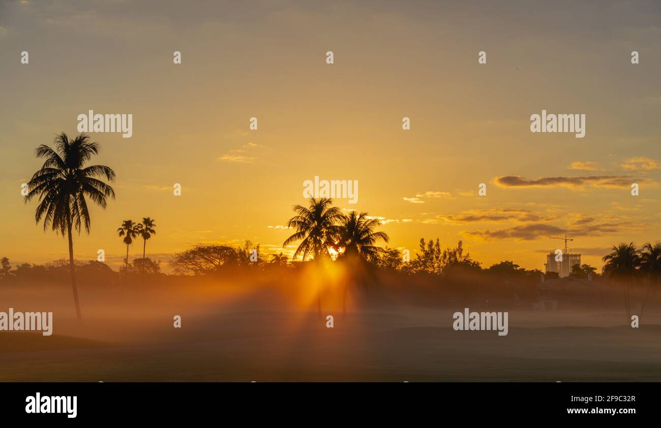 Hawaii usa sunrise orange silhouette hi-res stock photography and ...