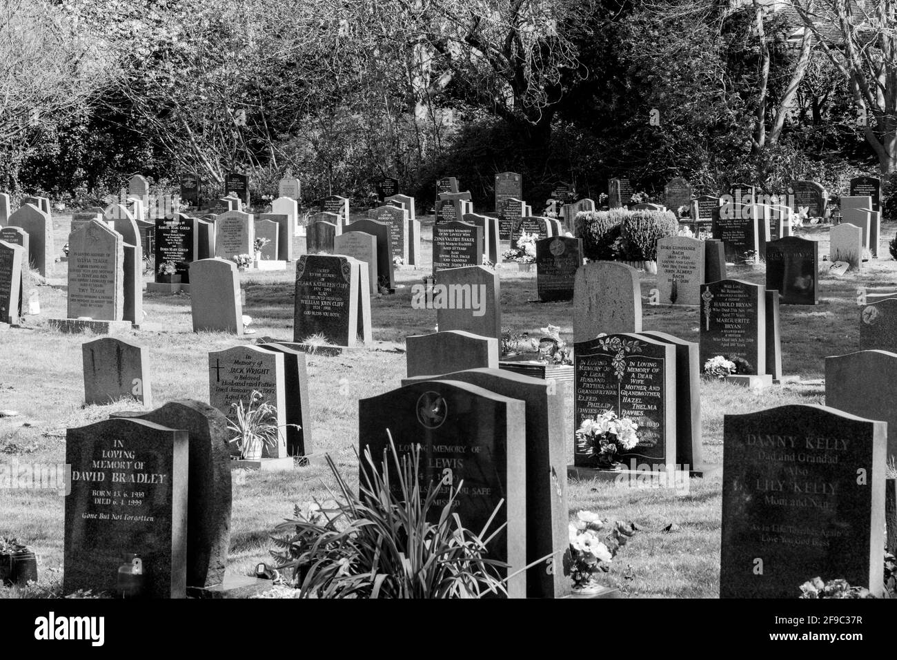 A monochrome shot of a well kept graveyard with areas of light and ...