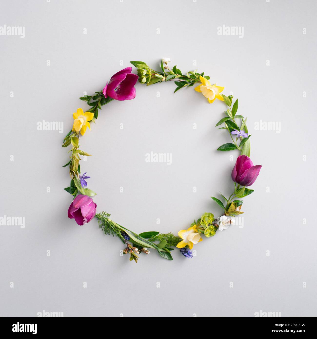Beautiful frame of colored flower. Circle of fresh flowers and leaves ...
