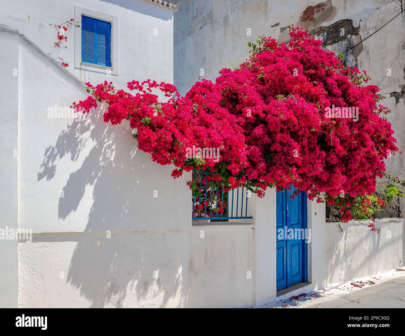 Greek bougainvillea europe hi-res stock photography and images - Alamy
