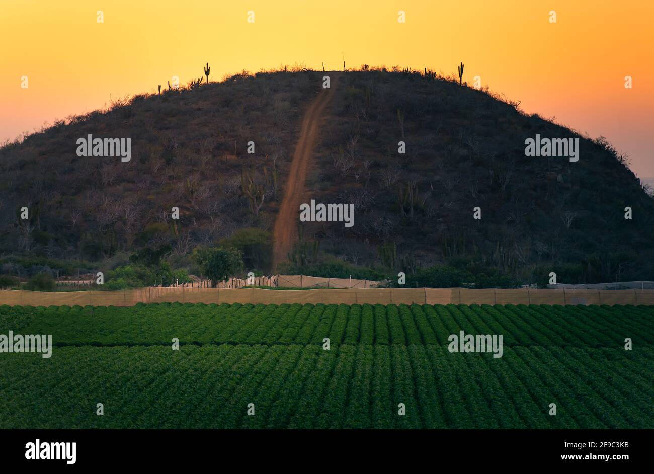 Dawn and sky and outdoor adventure beautiful scenery hi-res stock ...