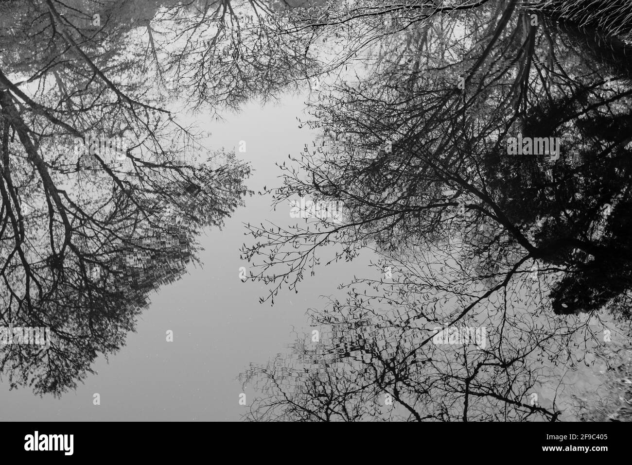 Georgia spring Black and White Stock Photos & Images - Alamy