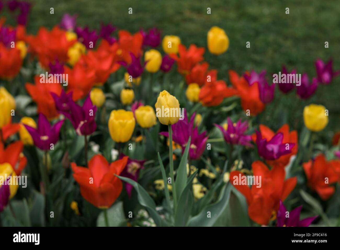 Georgia botanical gardens hi-res stock photography and images - Alamy