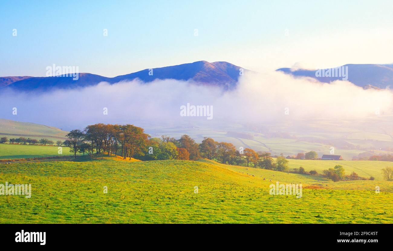 UK, England, Cumbria, Brant Fell, dawn over misty valley Stock Photo ...
