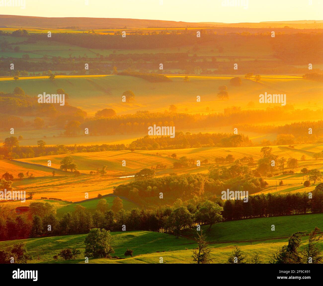 UK, England, North Yorkshire, Wensleydale with misty dawn light Stock ...