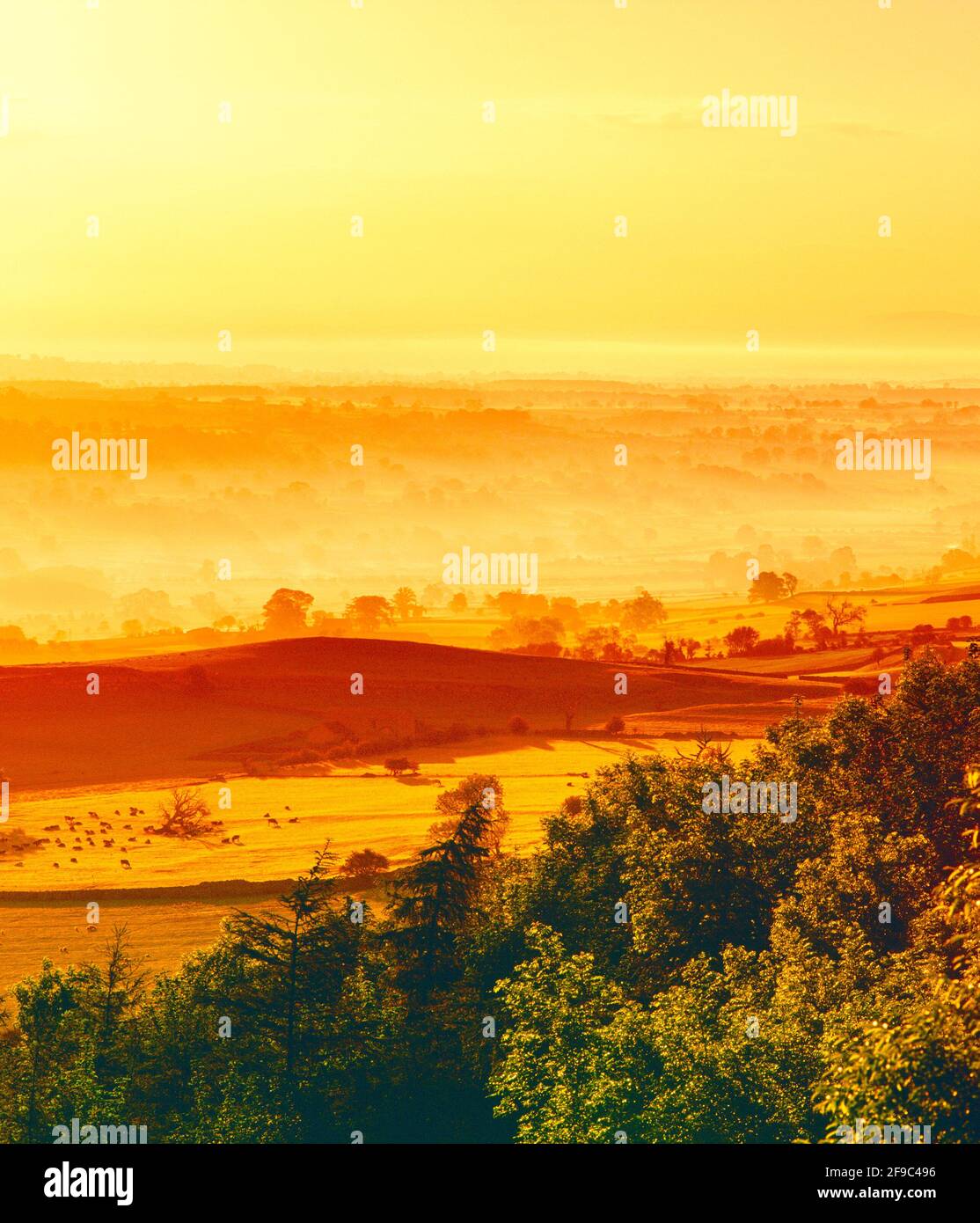 Dawn wensleydale hi-res stock photography and images - Alamy