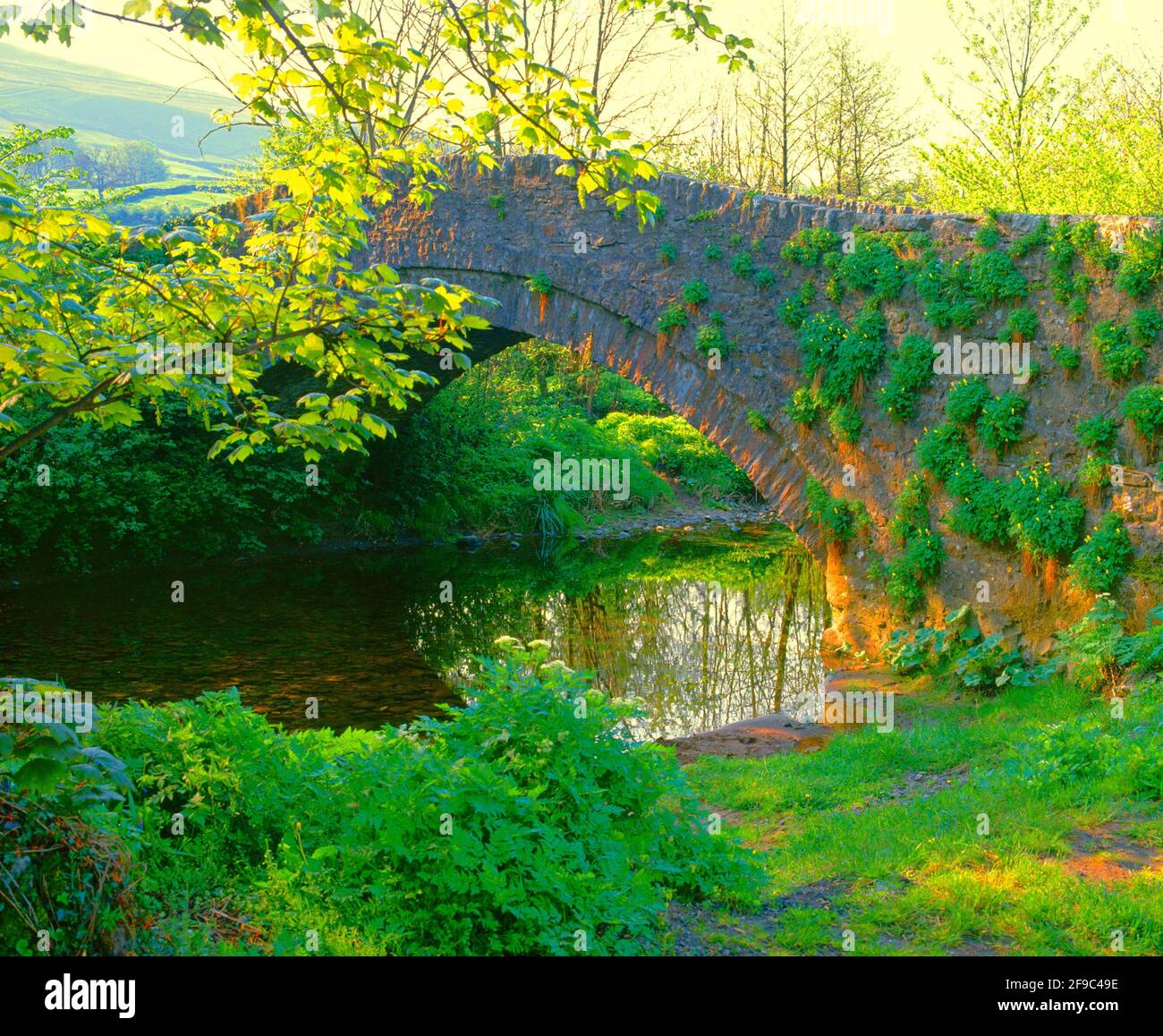 Welcoming morning sunlight bridge hi-res stock photography and images ...