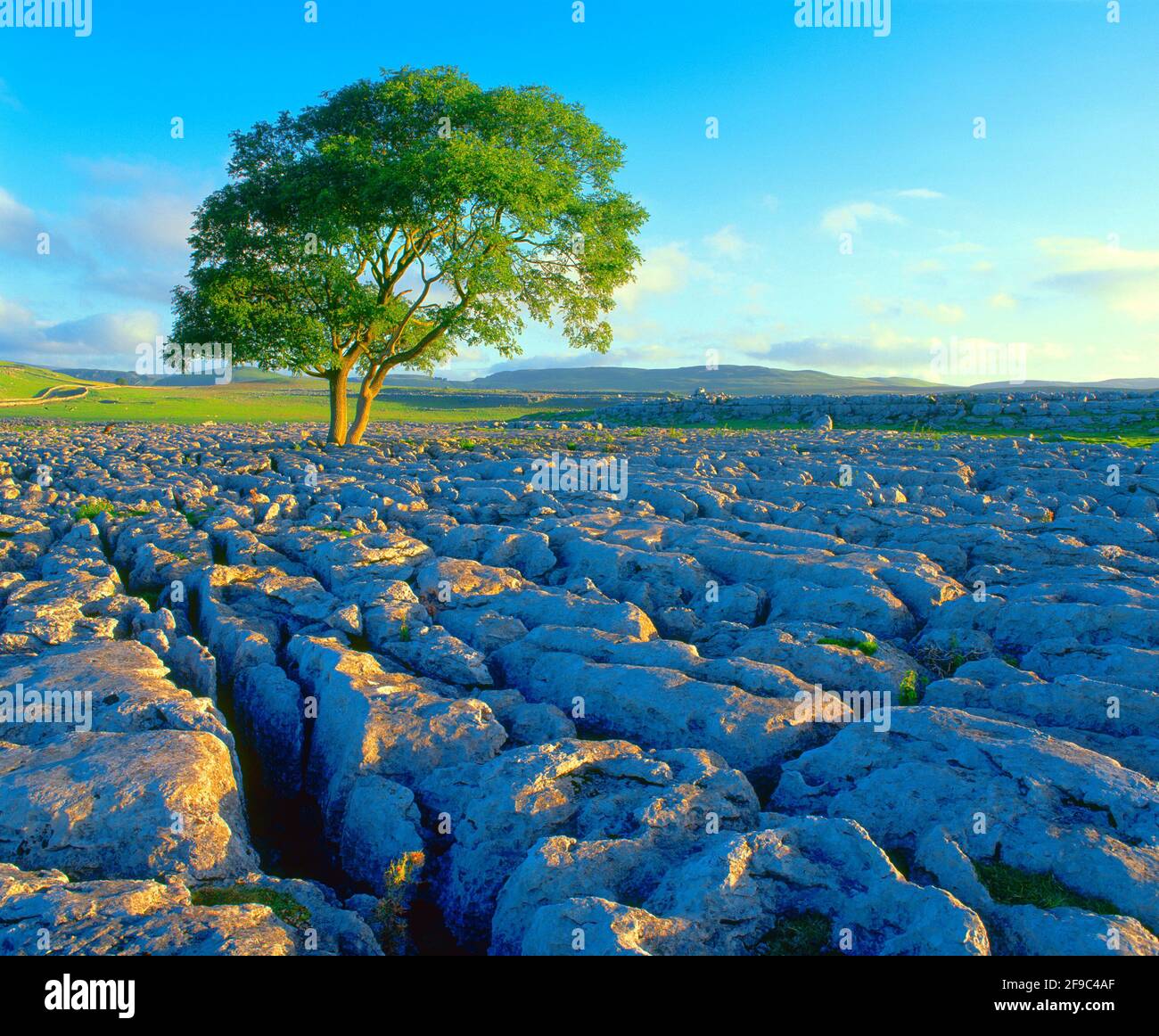 UK, England, North Yorkshire, Dales, Malham Cove, limestone escarpment ...