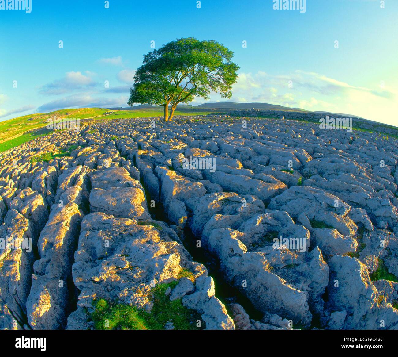 UK, England, North Yorkshire, Dales, Malham Cove, limestone escarpment ...