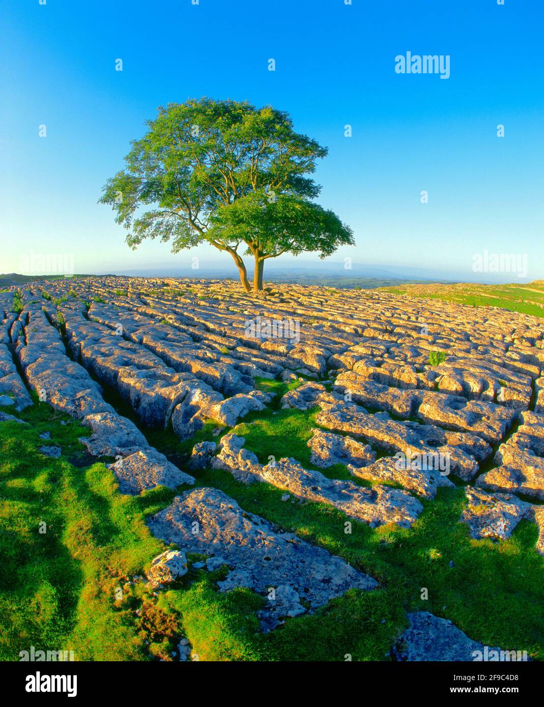 UK, England, North Yorkshire, Dales, Malham Cove, limestone escarpment ...