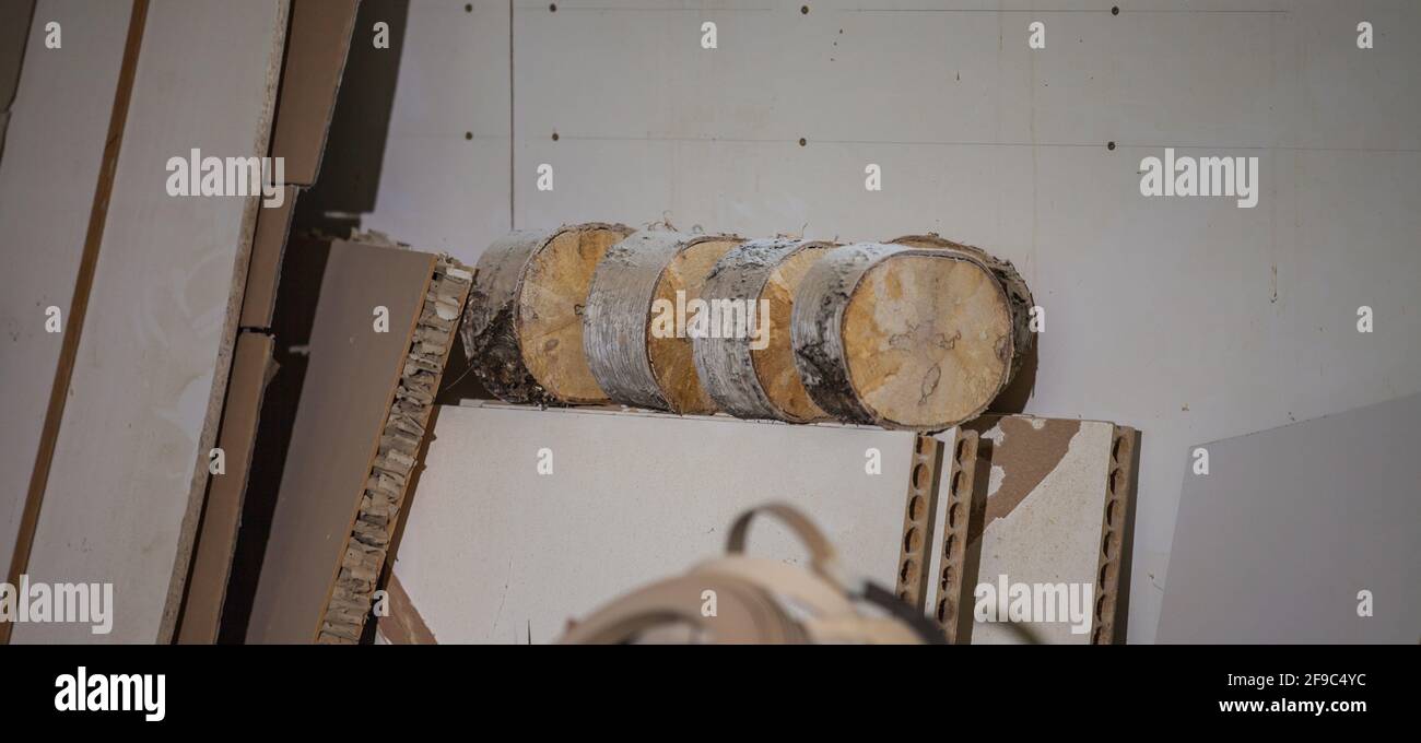 View of four cut round logs from birch's tree trunk in the carpenter ...