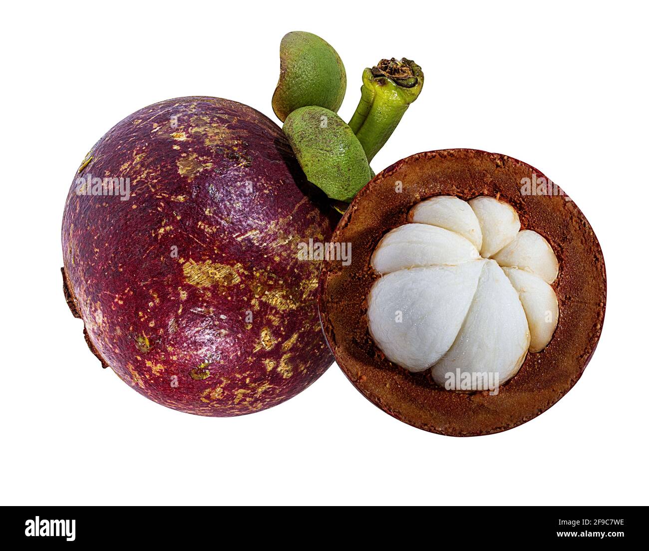 Mangosteen isolated on white background Stock Photo - Alamy