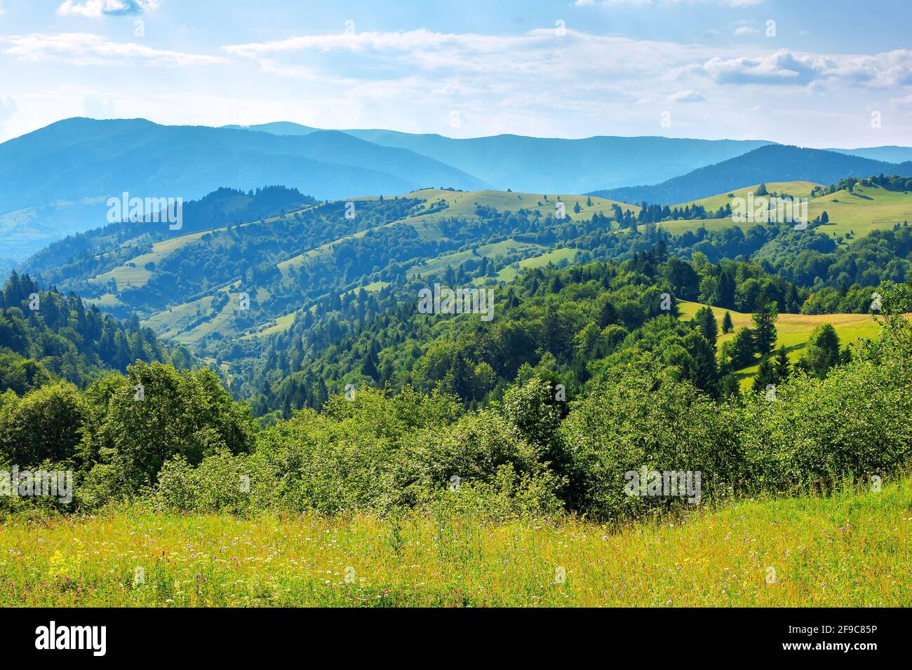 countryside landscape in summer. beautiful nature scenery with meadows ...