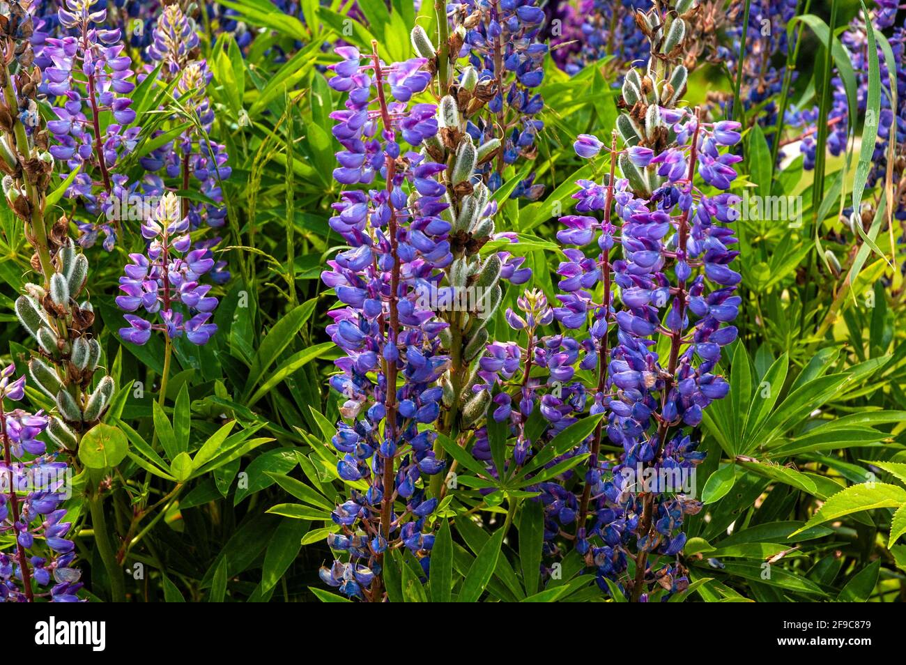Eye catching landscapes hi-res stock photography and images - Alamy