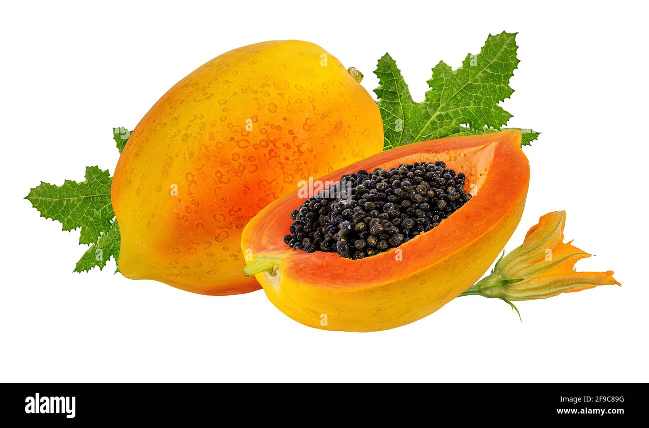 papaya isolated on a white background Stock Photo - Alamy