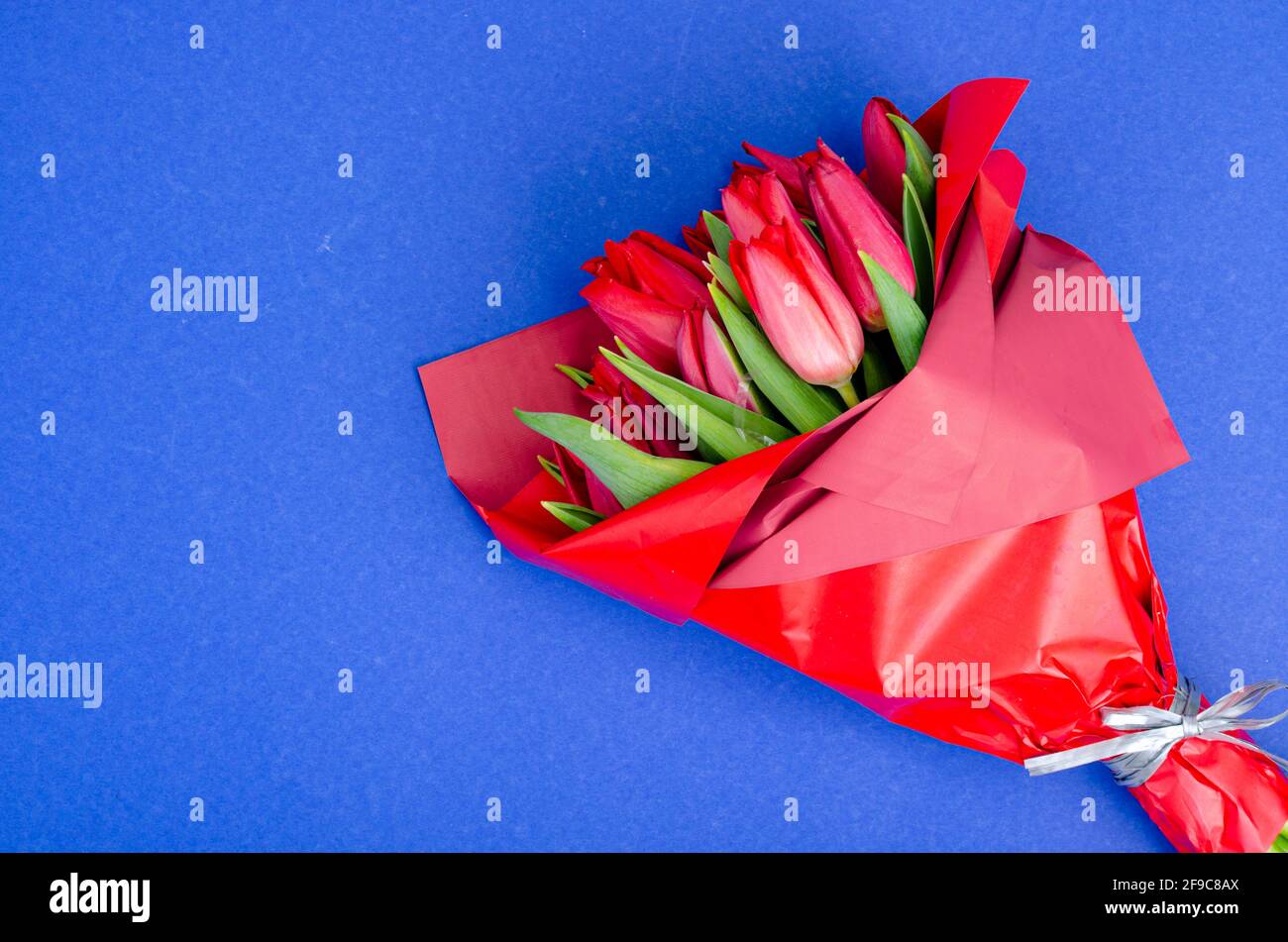 Tulip packaging design hi-res stock photography and images - Alamy