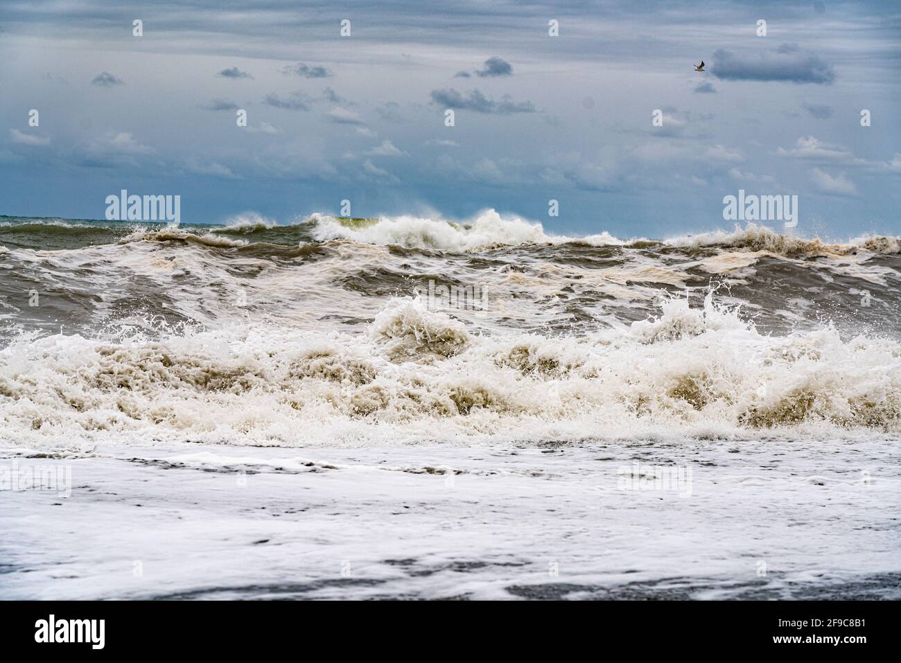 large and powerful sea waves during a storm Stock Photo - Alamy