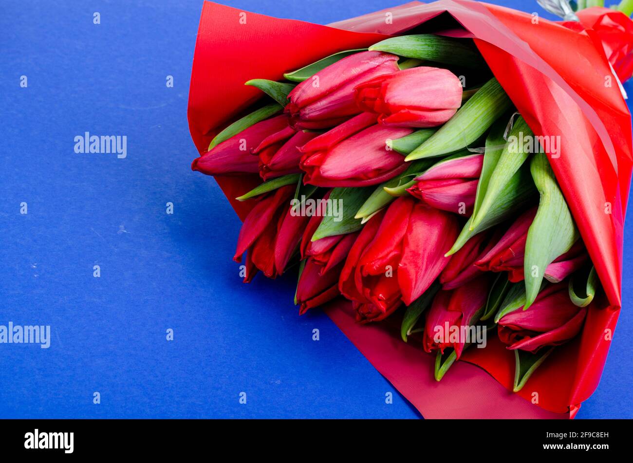 Tulip packaging design hi-res stock photography and images - Alamy