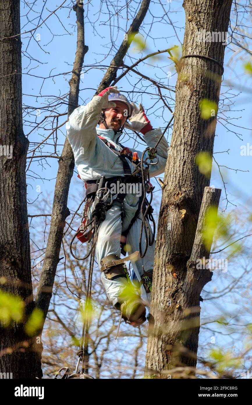 Moscow. Russia. April 17, 2021. A worker in a helmet on ropes climbs up ...