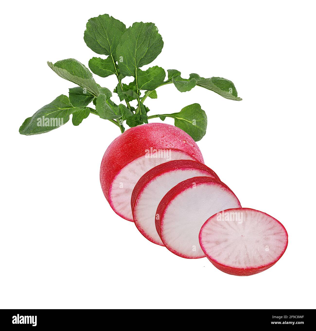 Fresh radishes isolated on white Stock Photo - Alamy