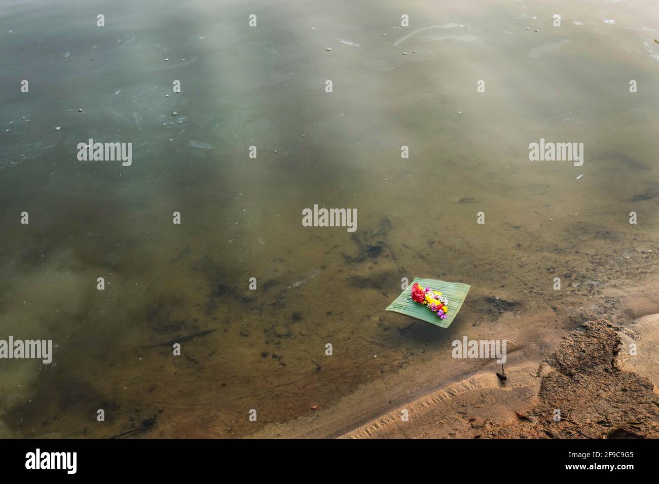 Rangamati, Rajbari Ghat, Bangladesh. 12th Apr, 2021. Flowers seen ...