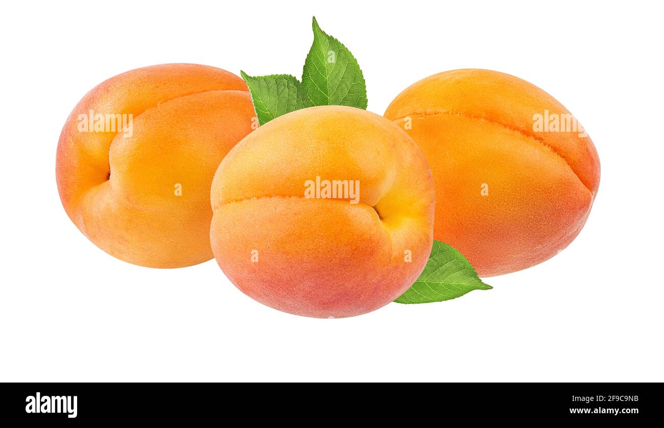 Apricot isolated on white background Stock Photo - Alamy