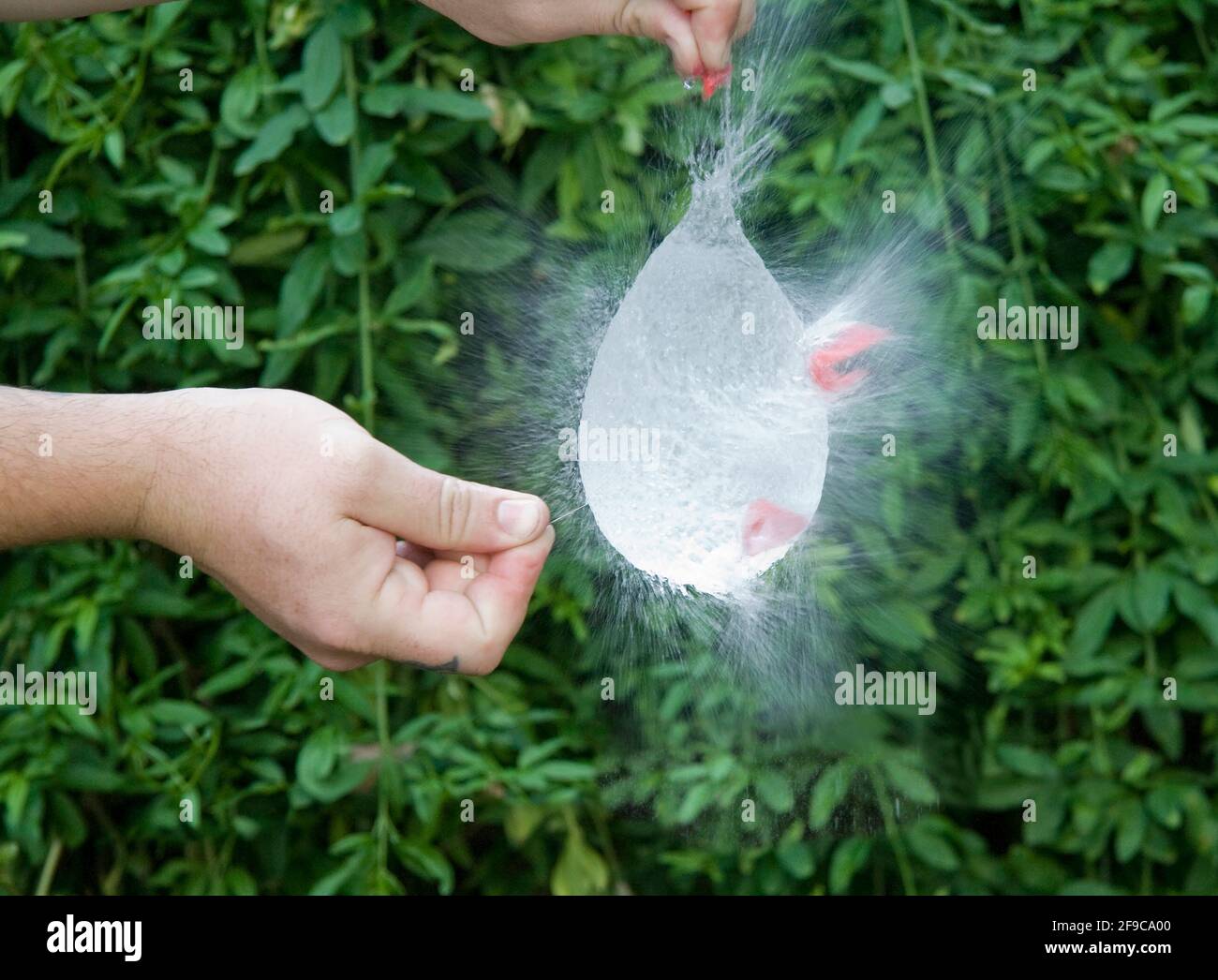 high speed photography of a water balloon explosion Stock Photo - Alamy