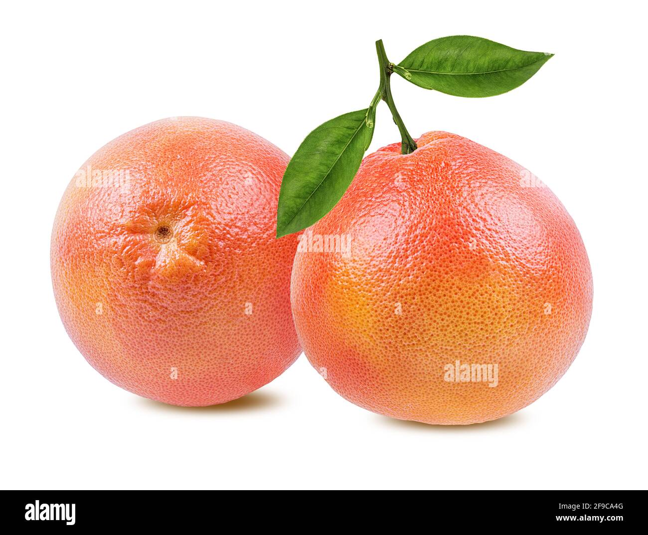 grapefruit isolated on white background Stock Photo - Alamy