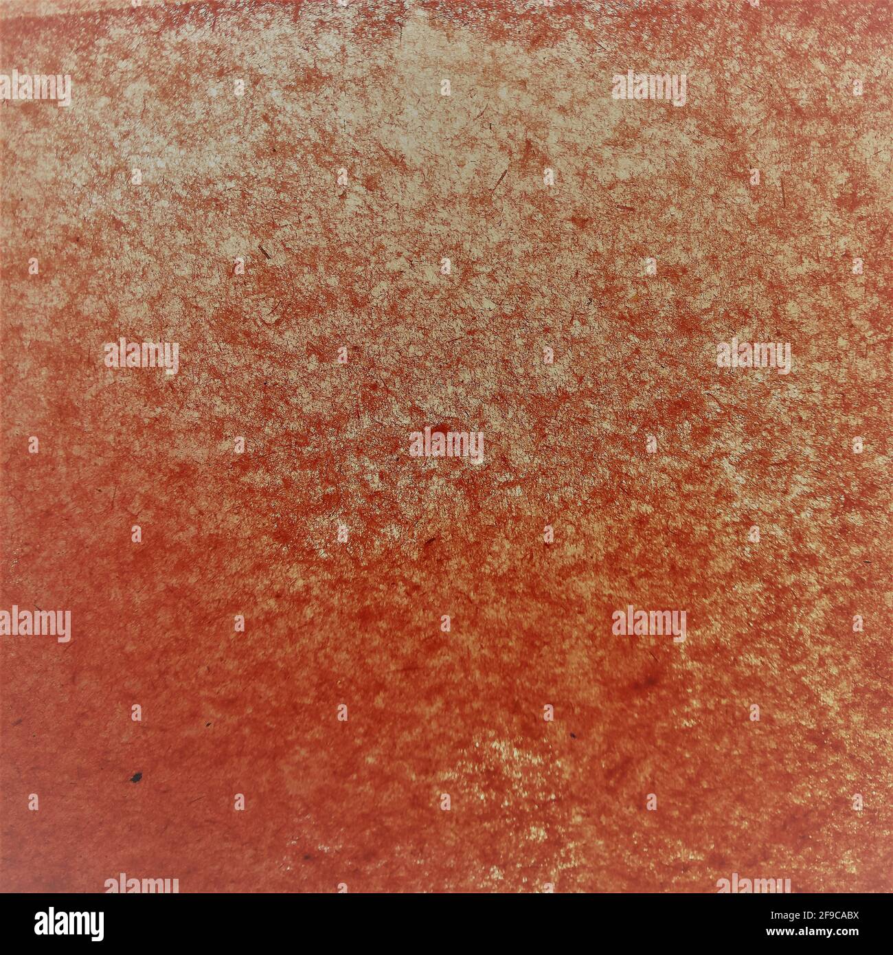 Wrapping papaer pattern hi-res stock photography and images - Alamy