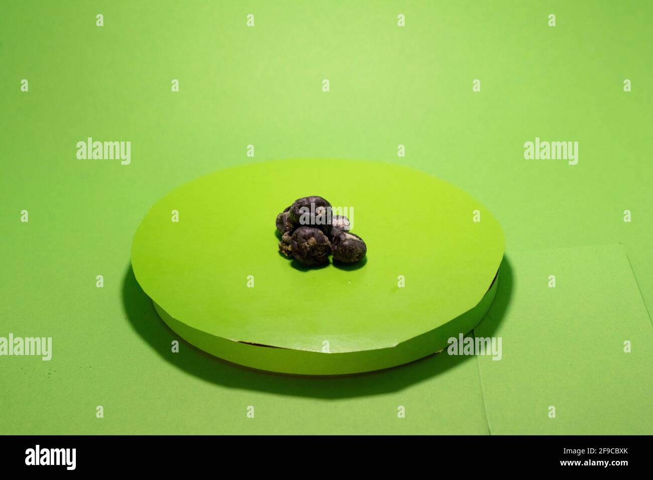 Spoiled blueberry isolated chromakey hi-res stock photography and ...