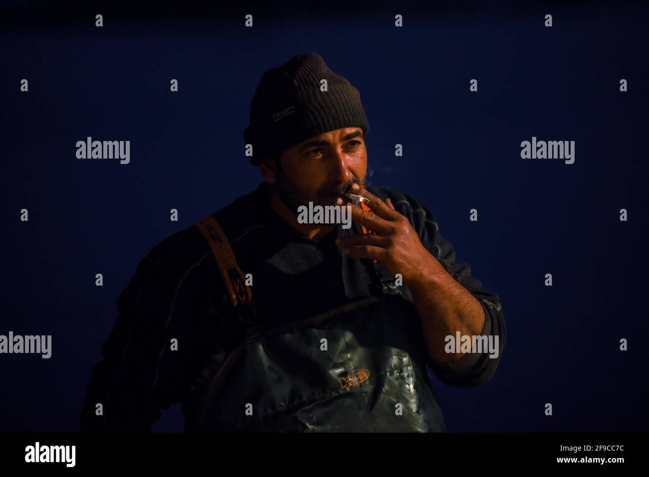 Fish mania hi-res stock photography and images - Alamy