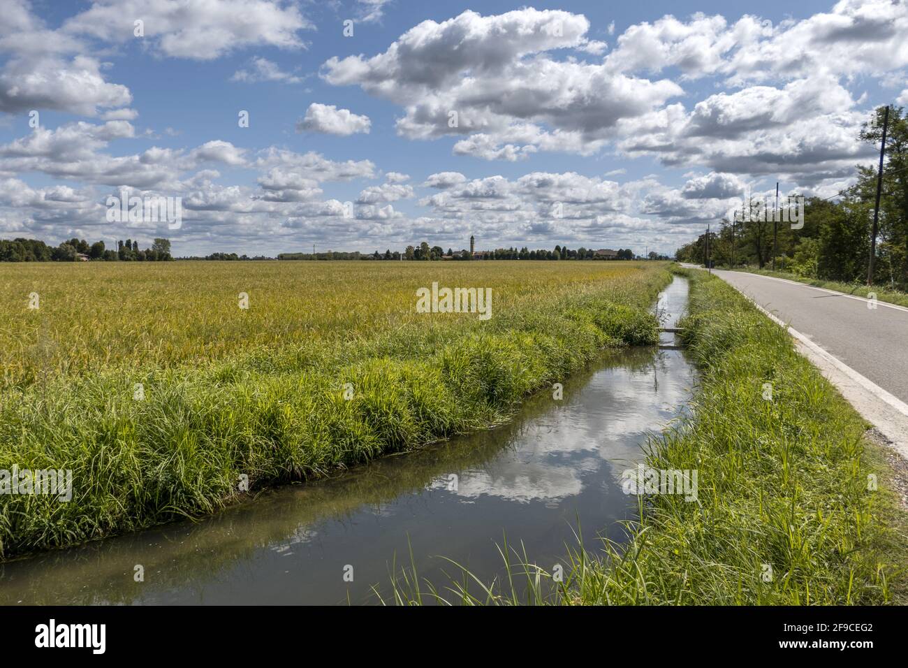Landscape of canal water along with rice field and road under a cloudy ...