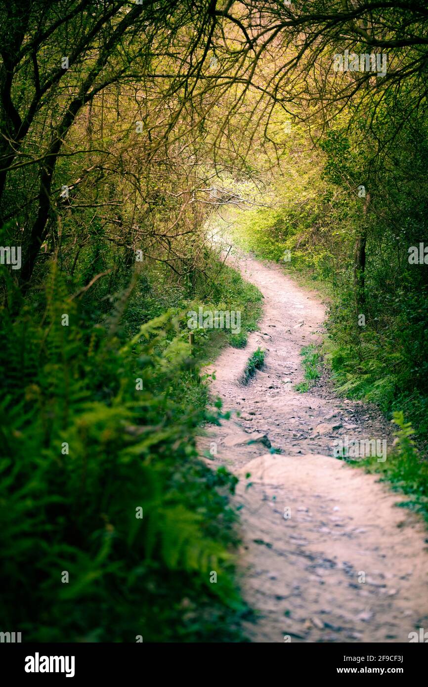 Looping sun hi-res stock photography and images - Alamy