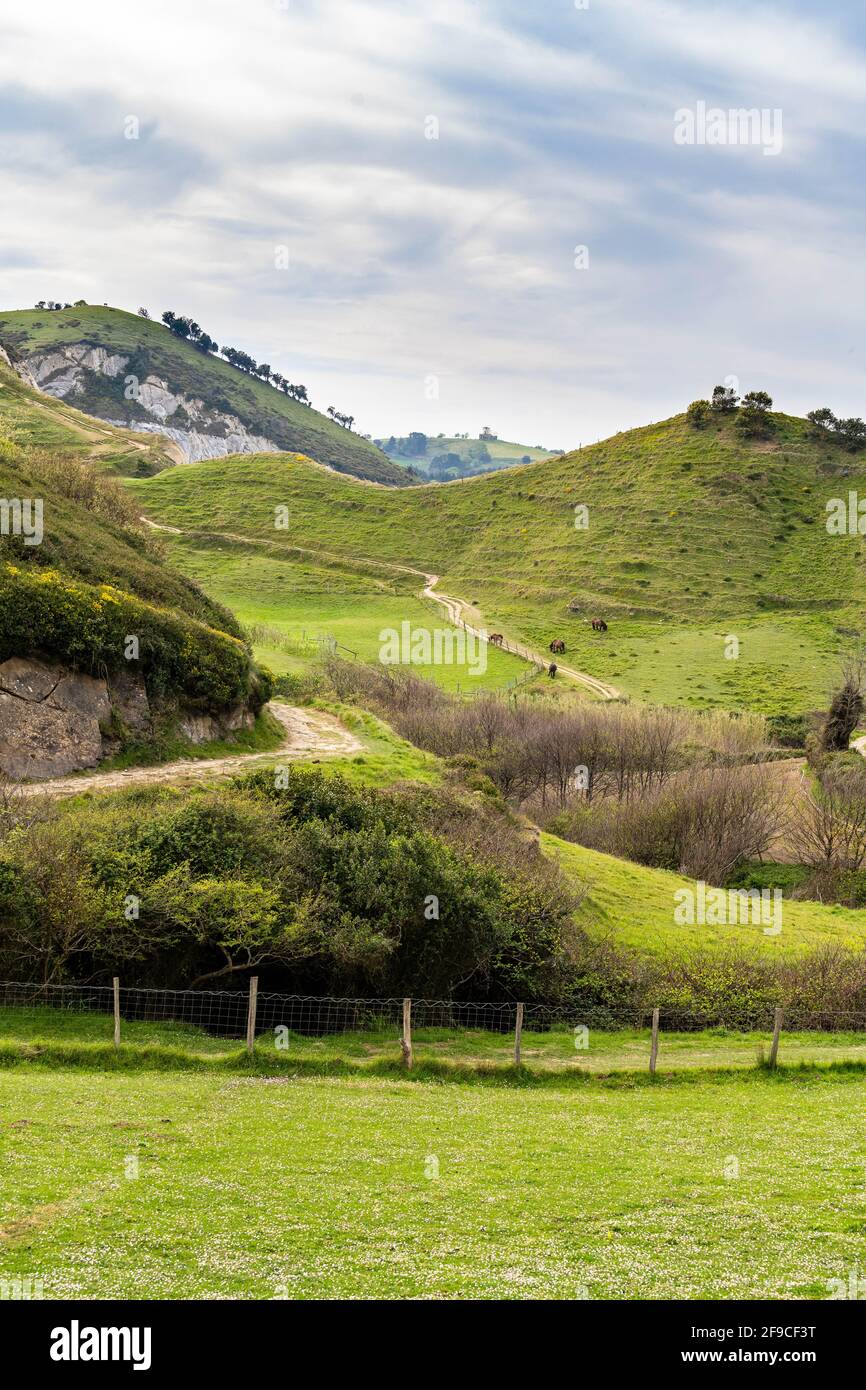 Spring landscape with fresh green lawns trees with new leaves Stock ...