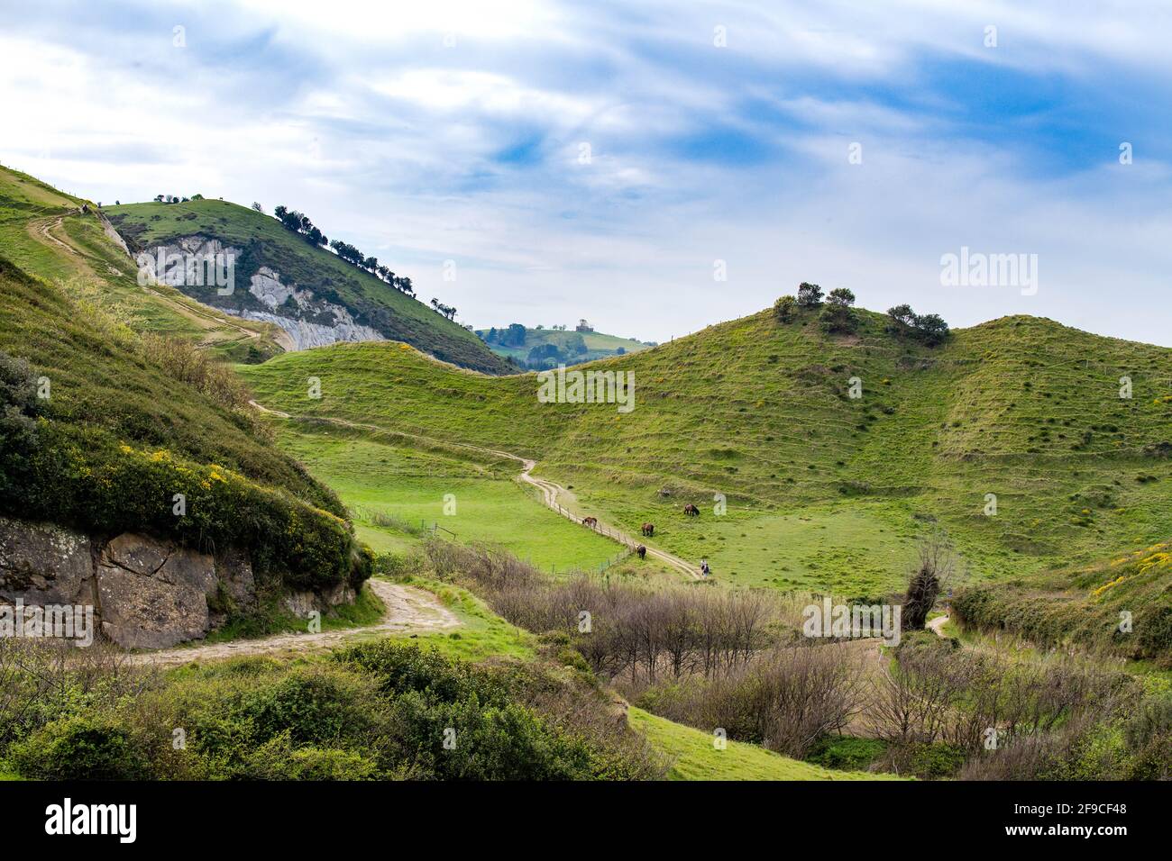 Spring landscape with fresh green lawns trees with new leaves Stock ...