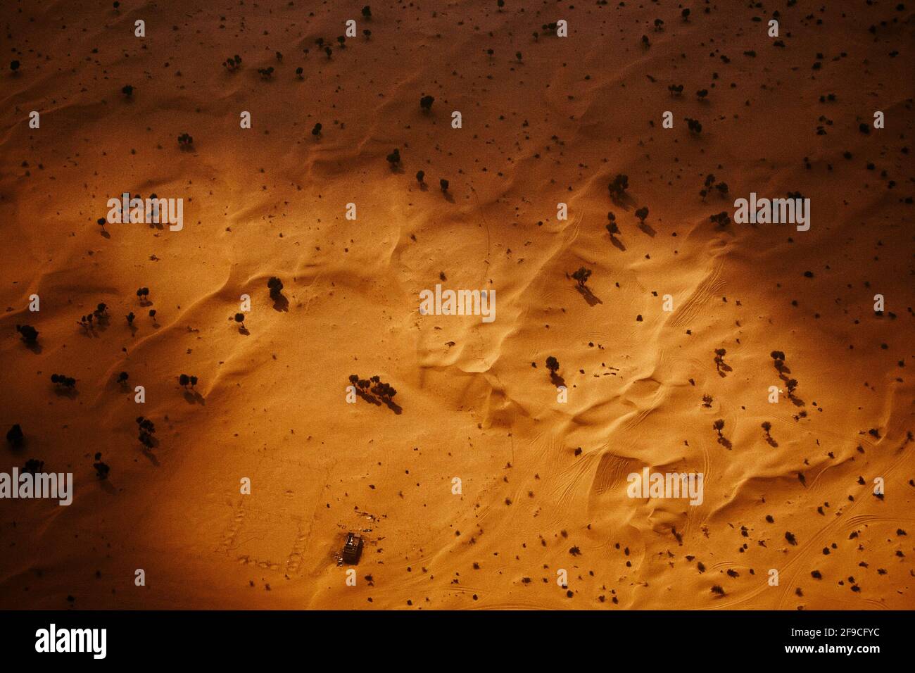 Desert beautiful landscape from above with trees, shadows from the ...