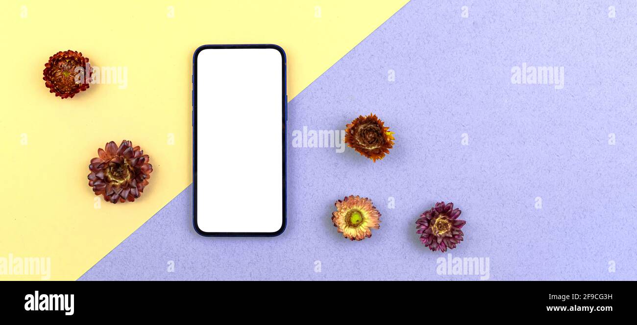 Woman desktop elegant flat hi-res stock photography and images - Alamy