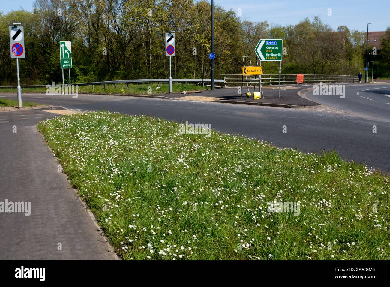 Roadside landscaping with wildflower turf, Warwick, UK Stock Photo - Alamy