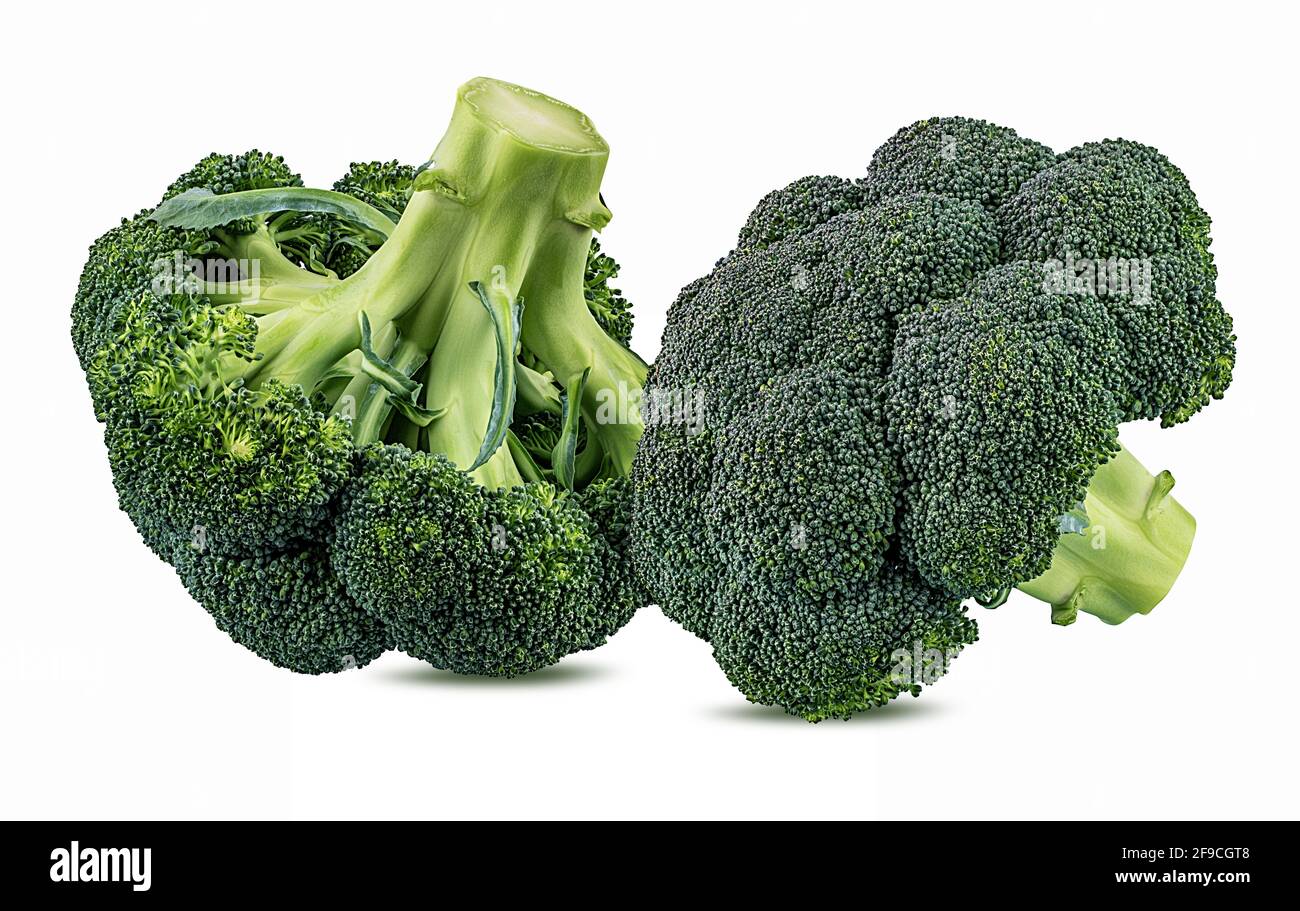 Broccoli isolated on white background Stock Photo - Alamy