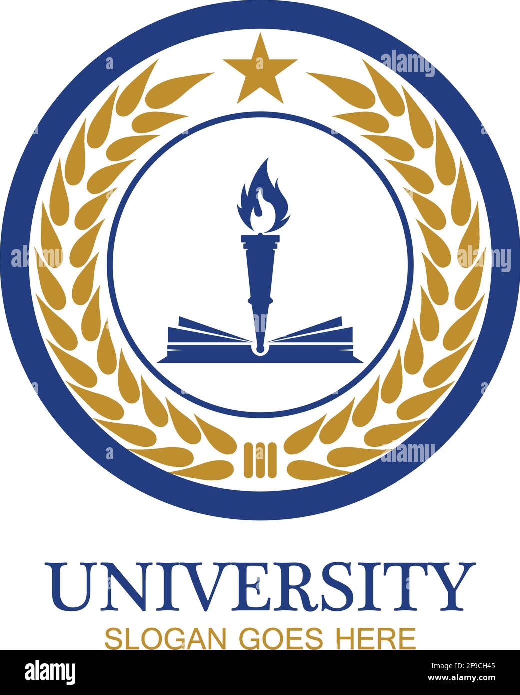 University, Academy, School and Course logo design template Stock ...