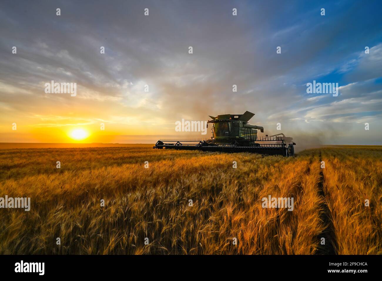 Fall harvest on the Canadian prairies in the Saskatchewan grain belt ...