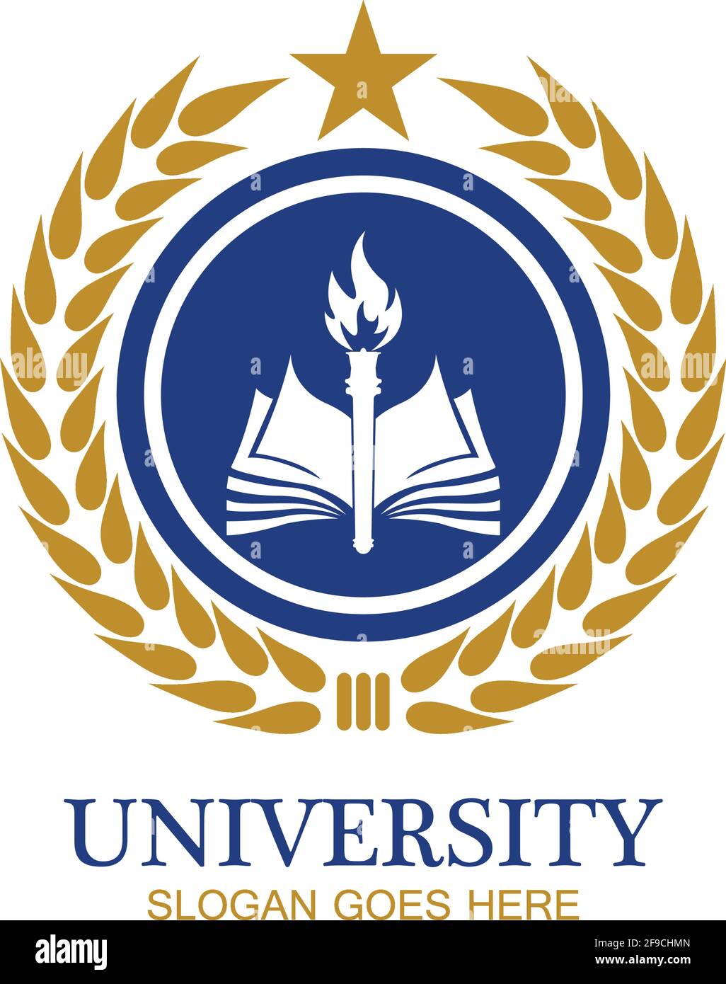 University, Academy, School and Course logo design template Stock ...