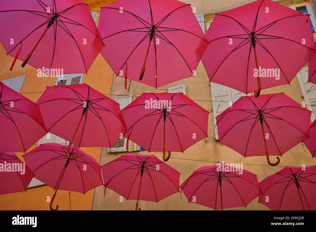 Suspended pink umbrellas in the historic center of Grasse, celebrating ...