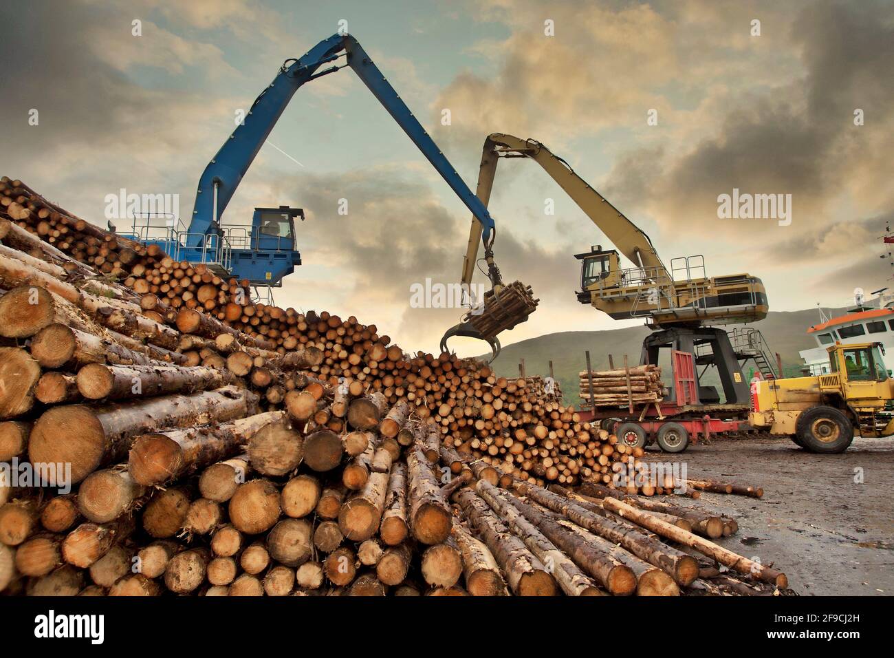 Timber cut from Scottish forests being loaded onto a ship for export ...