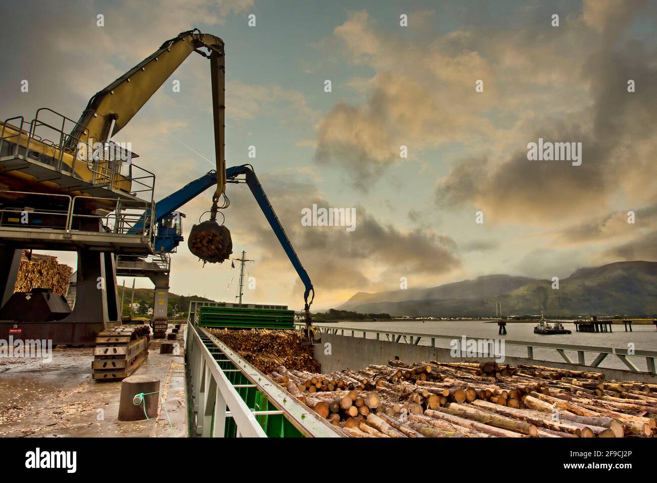 Timber cut from Scottish forests being loaded onto a ship for export ...