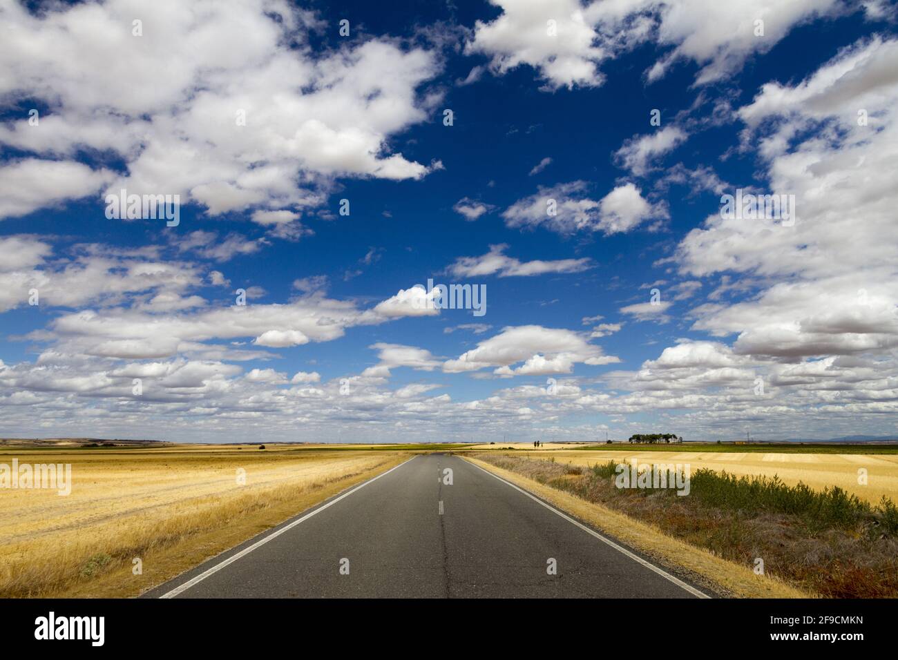 Beautiful view of an empty asphalt road along farm field under a cloudy ...