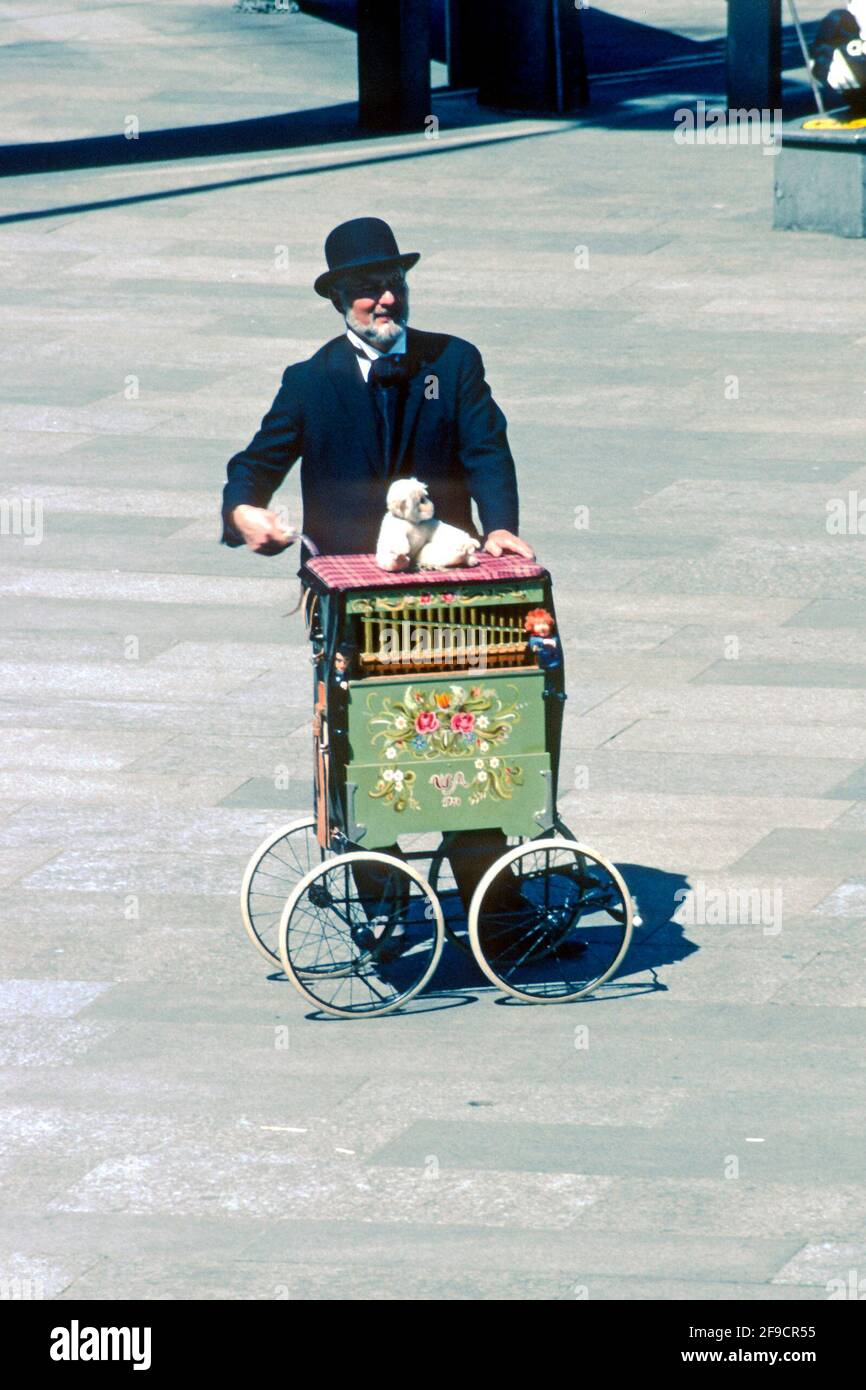 Organ grinder monkey hi-res stock photography and images - Alamy