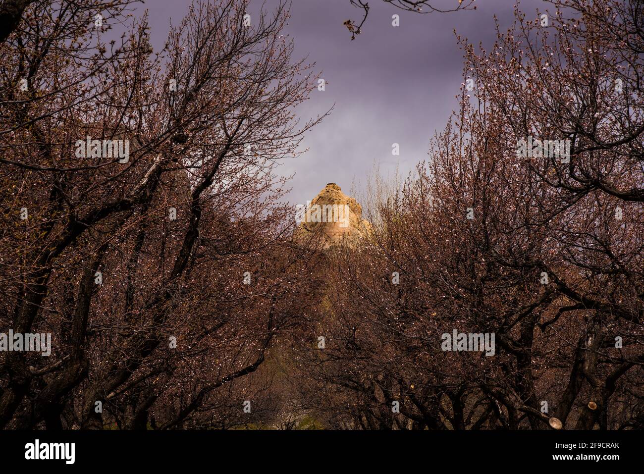 Orchard Knob High Resolution Stock Photography and Images - Alamy