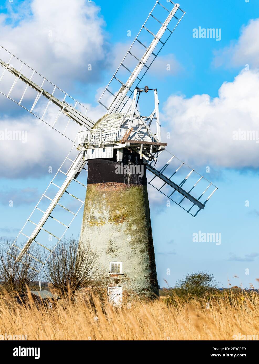 Traditional drainage mill nestled in the reeds on the side of the River ...